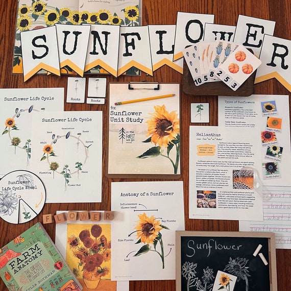 Sunflower Unit Study Printables Learning Materials Morning - Etsy