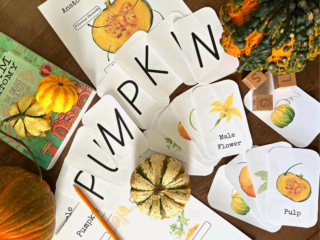 Pumpkin Unit Study | Printables, Homeschool Learning Materials, Nature ...