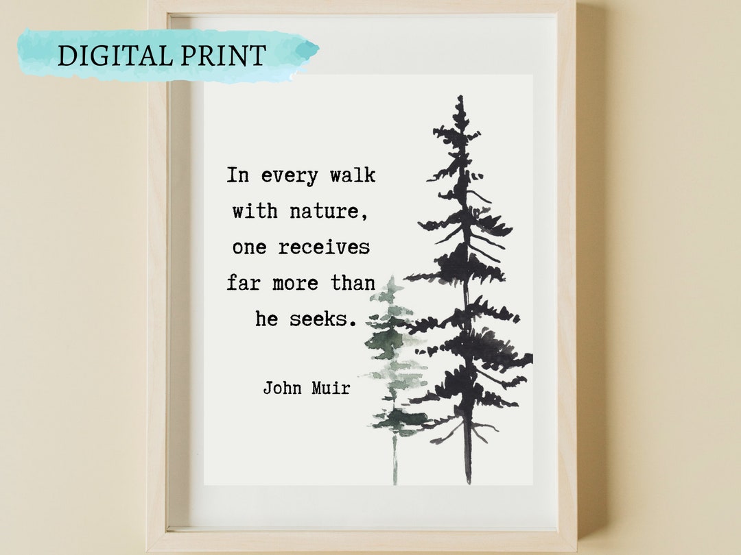 John Muir Quote | Every Walk With Nature | Inspirational Quote, Wall ...