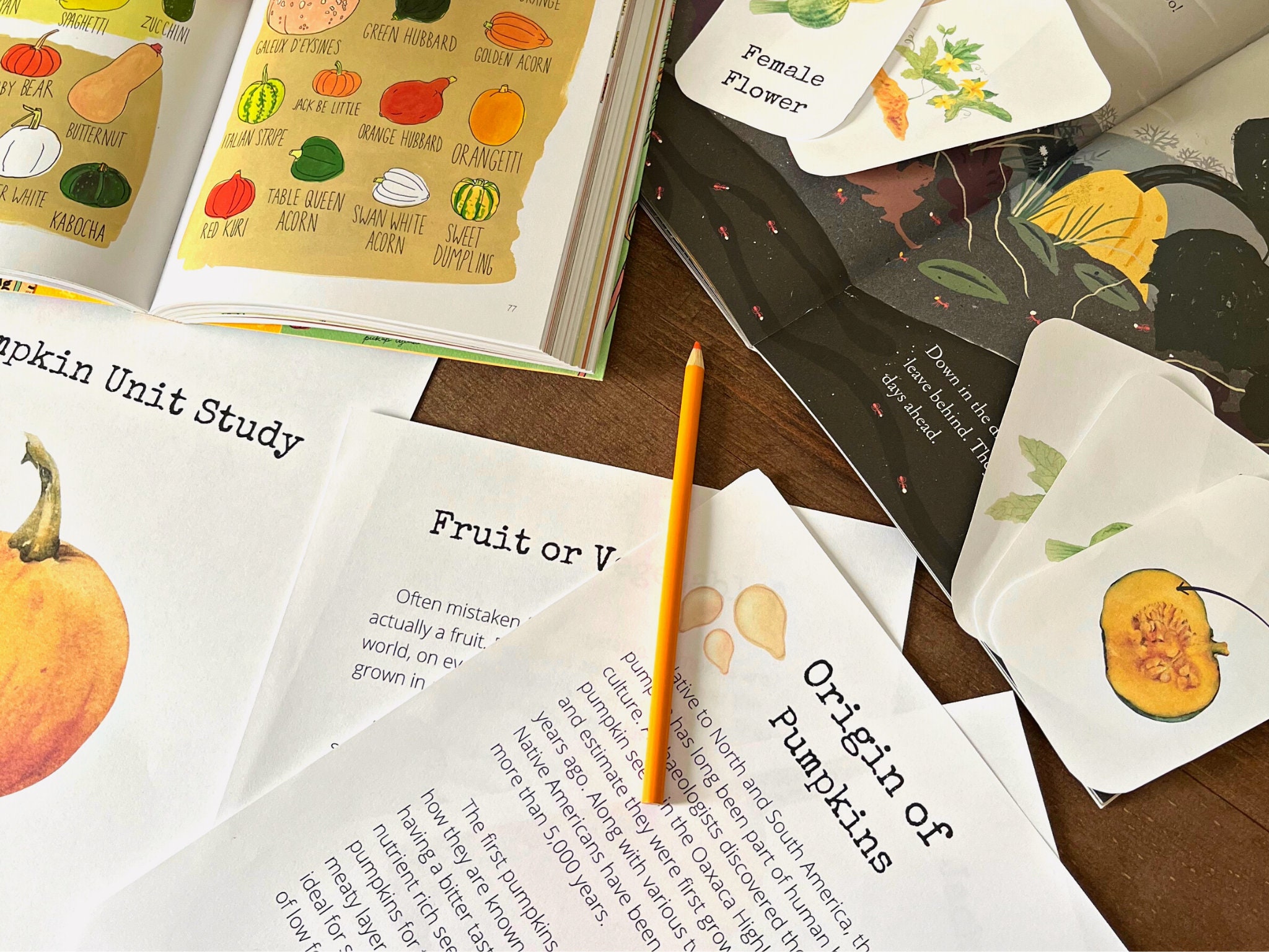 Pumpkin Unit Study | Printables, Homeschool Learning Materials, Nature ...