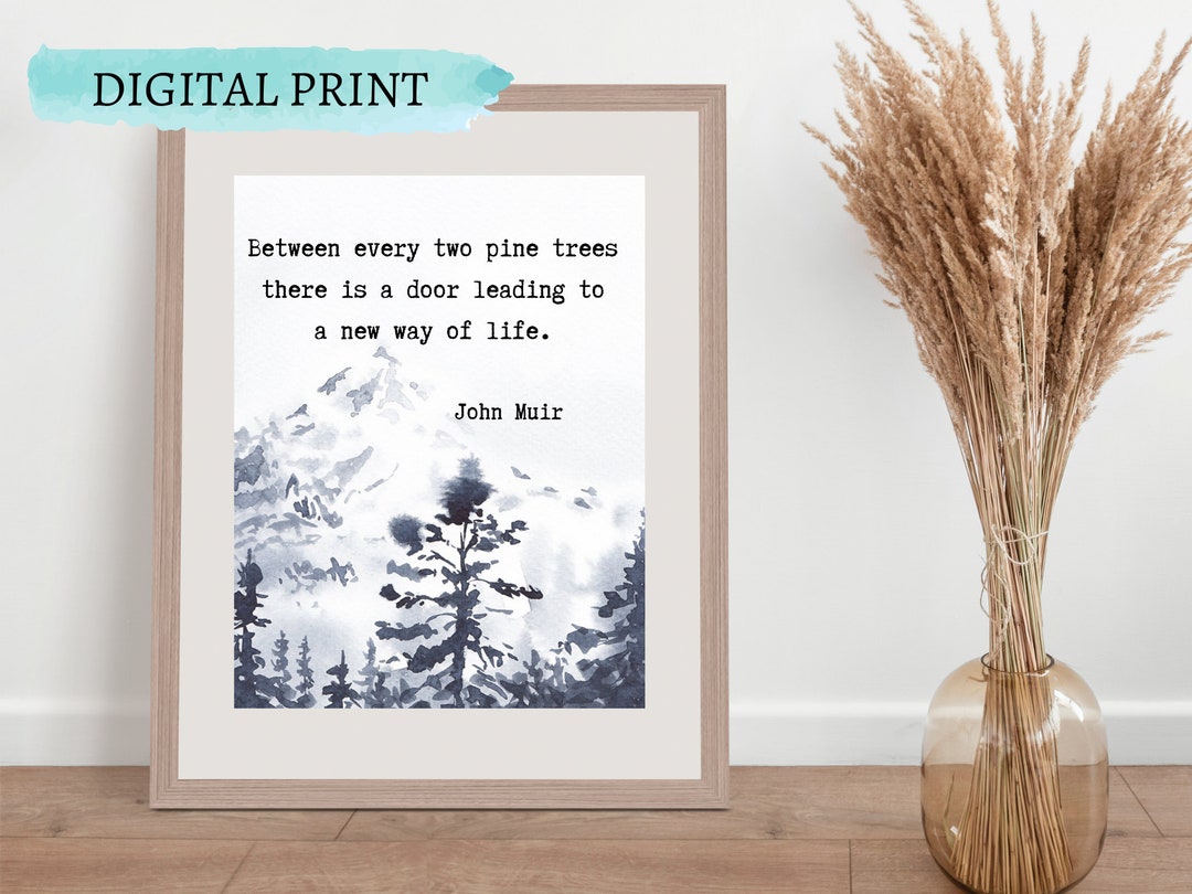 John Muir Quote | Between Every Two Pines | Inspirational Quote, Wall ...