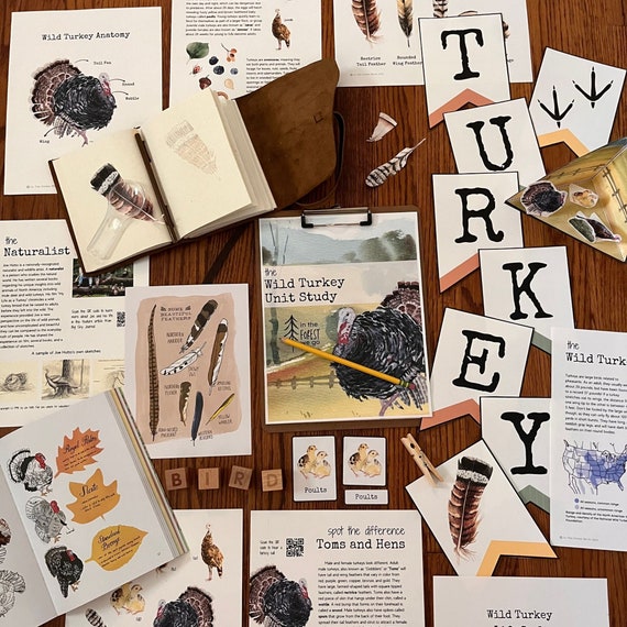 Wild Turkey Unit Study Nature Study Morning Basket Fall - Etsy