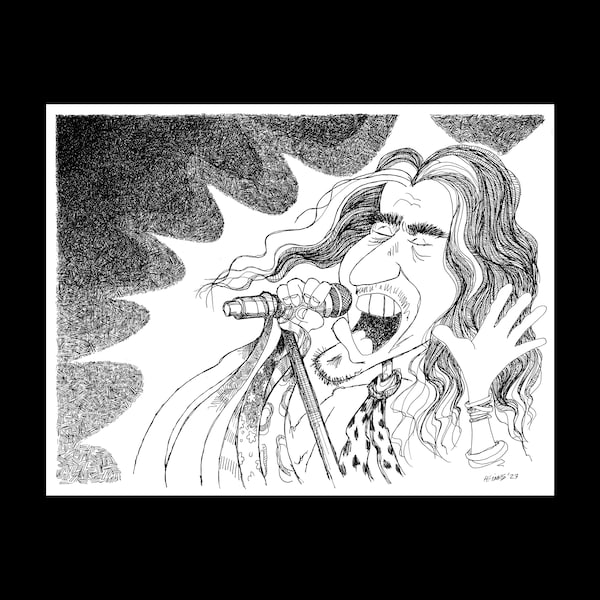 Steven Tyler Art - Etsy