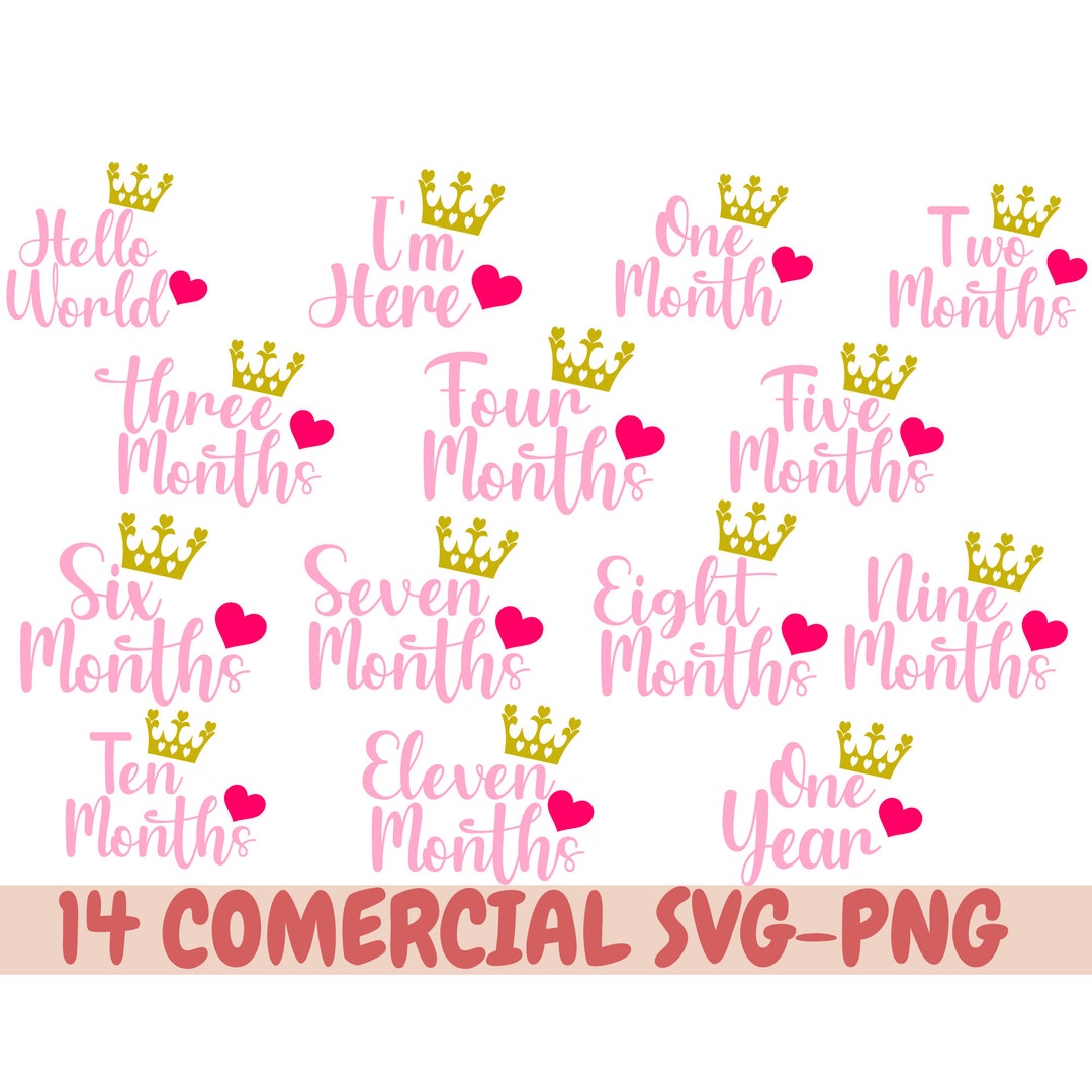 Baby Milestone Bundle SVG Baby Monthly Announcement, Newborn Hello ...