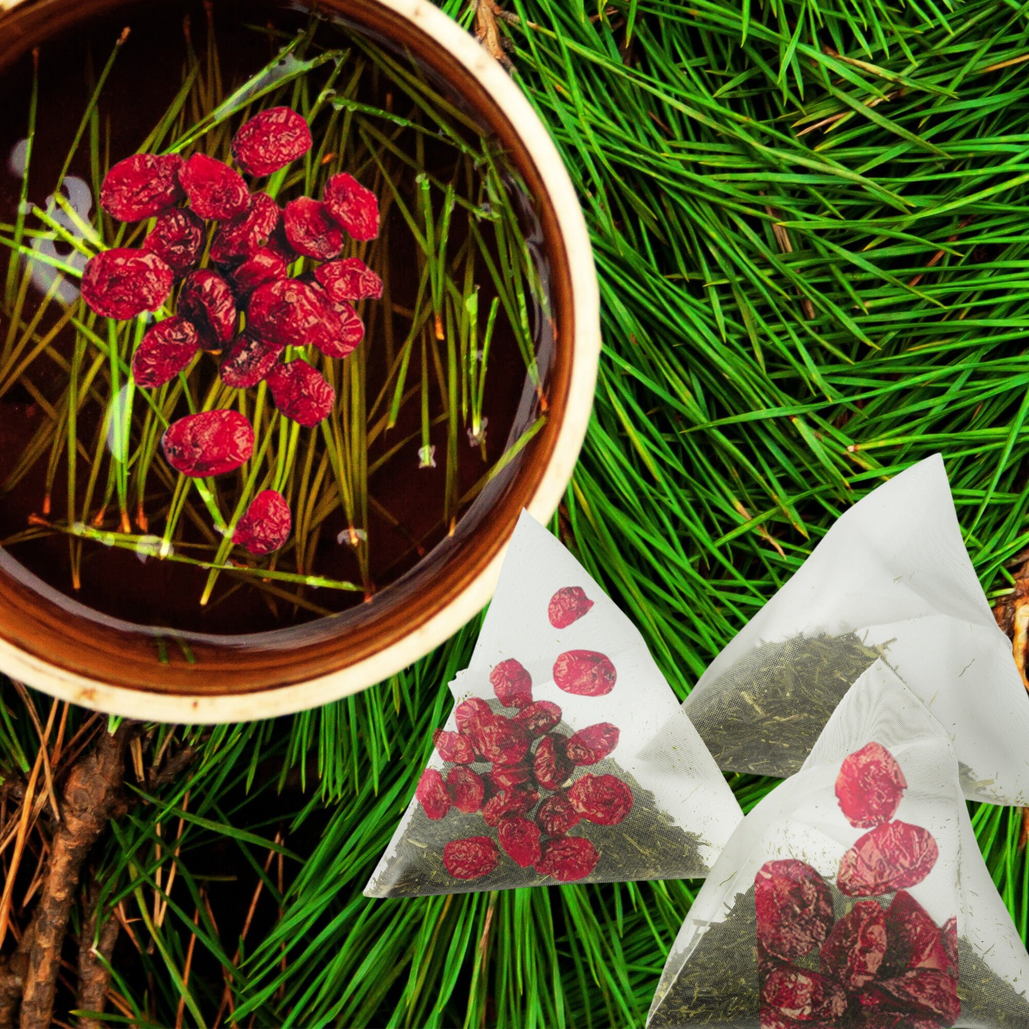 Wild Canadian Eastern White Pine & Cranberry Winter Tea bags (10 Tea ...