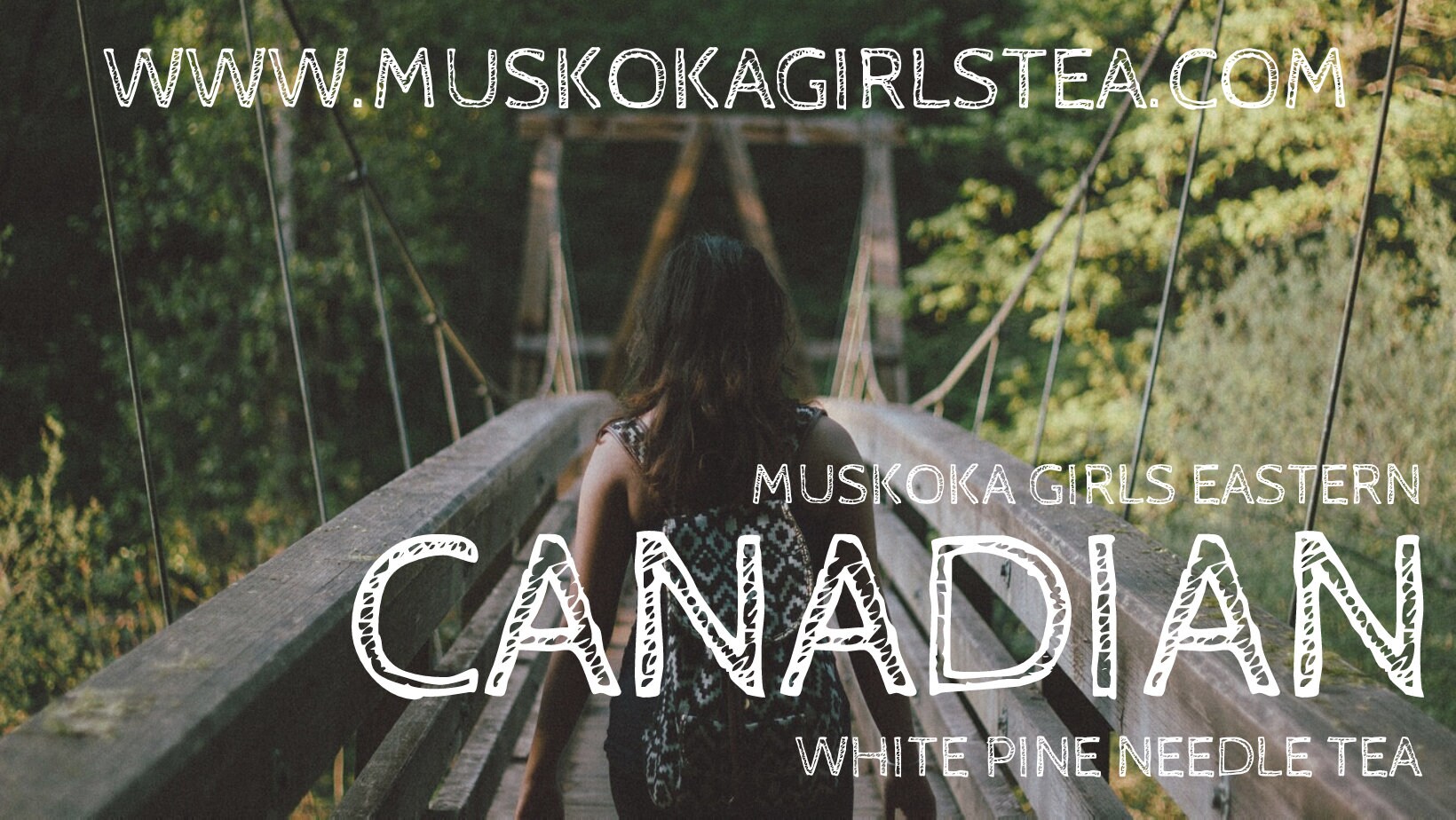 Wild Canadian Eastern White Pine Needle TEA bags BEST BUY Suramin ...