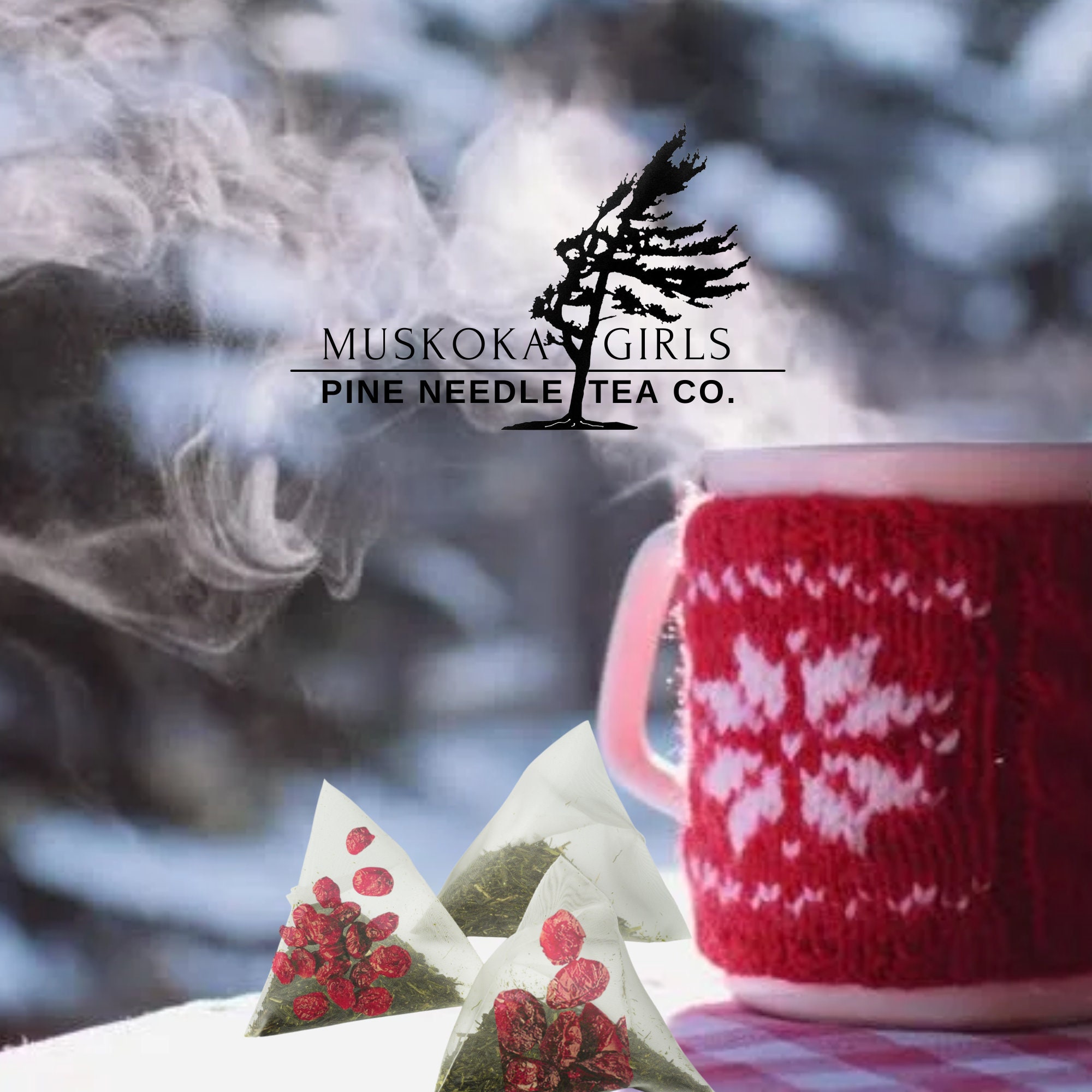 Wild Canadian Eastern White Pine & Cranberry Winter Tea bags (10 Tea ...