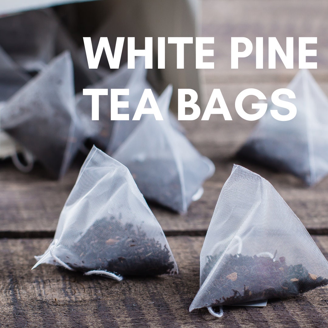 Best Canadian WHITE PINE Needle TEA Bags, Wild Eastern Canadian White ...