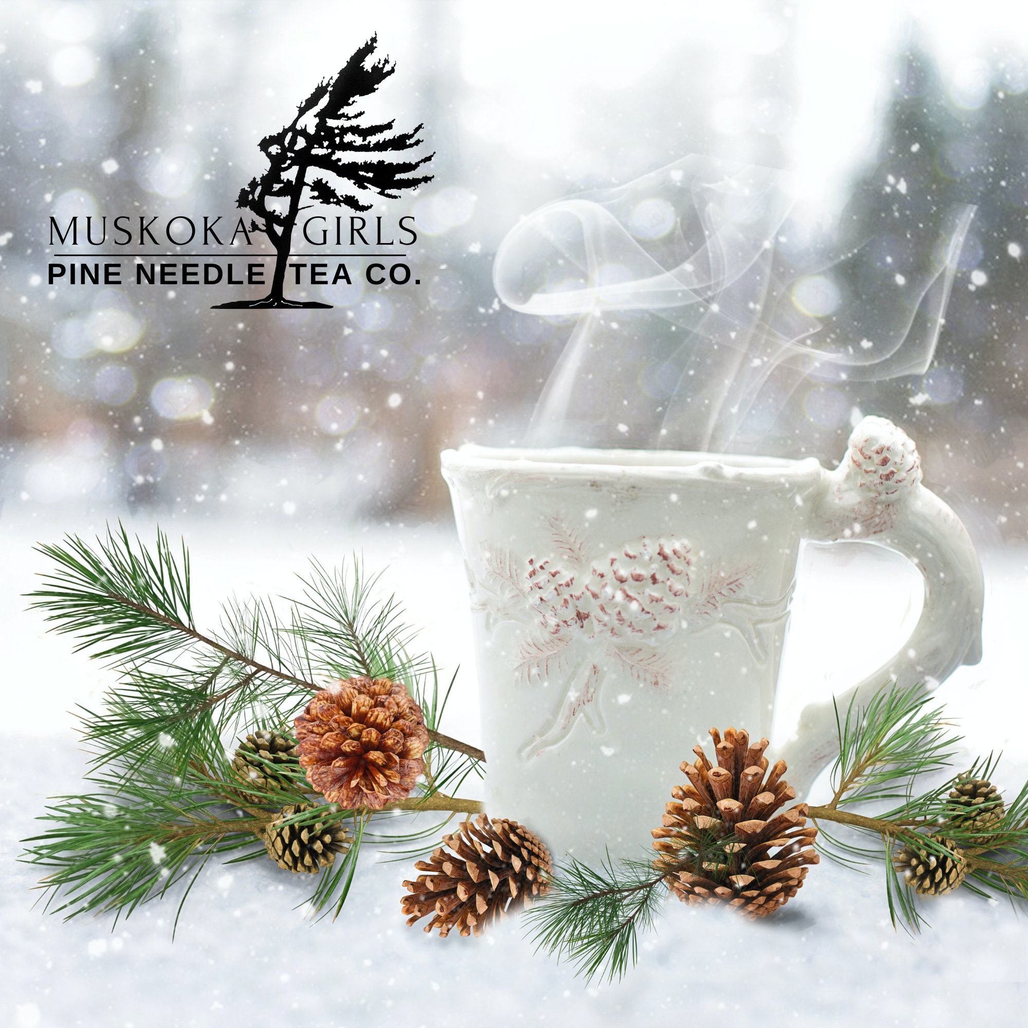 Wild Canadian Eastern White Pine & Cranberry Winter Tea bags (10 Tea ...