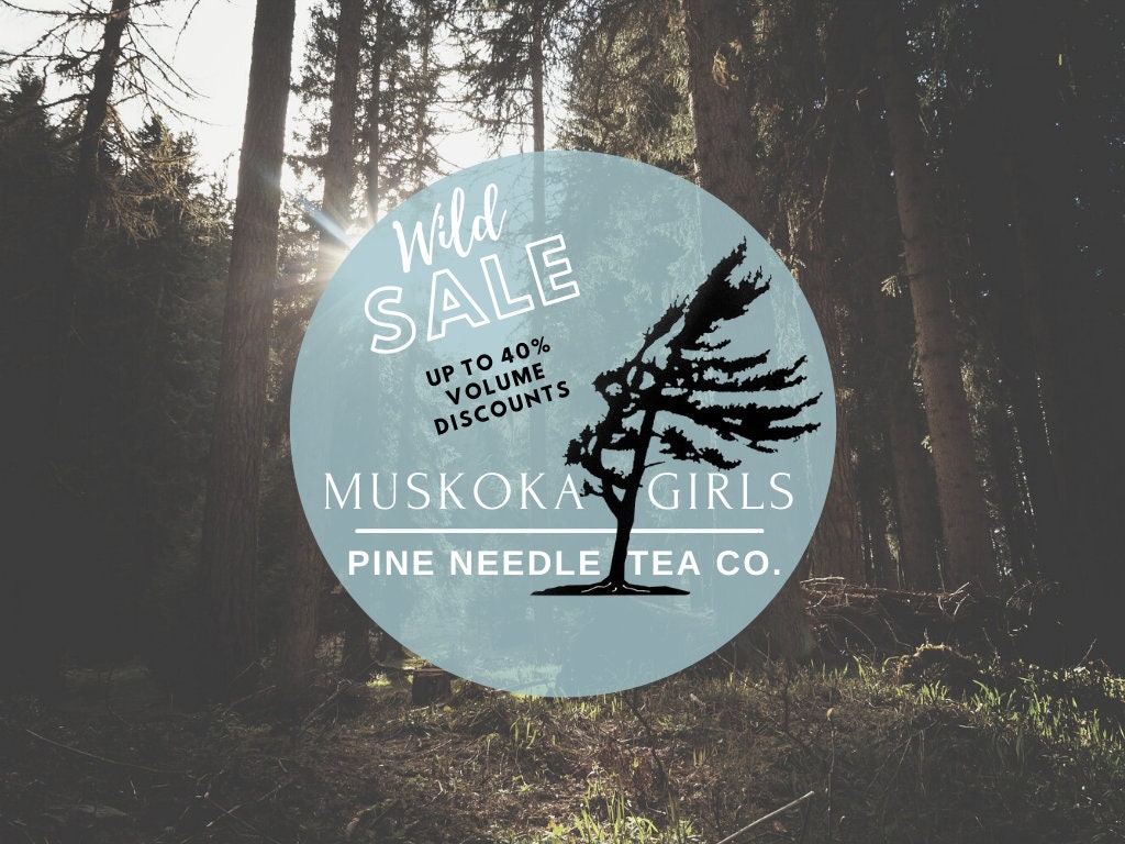 Wild Canadian Eastern White Pine Branch tips, Bulk Tea Needles BEST BUY ...