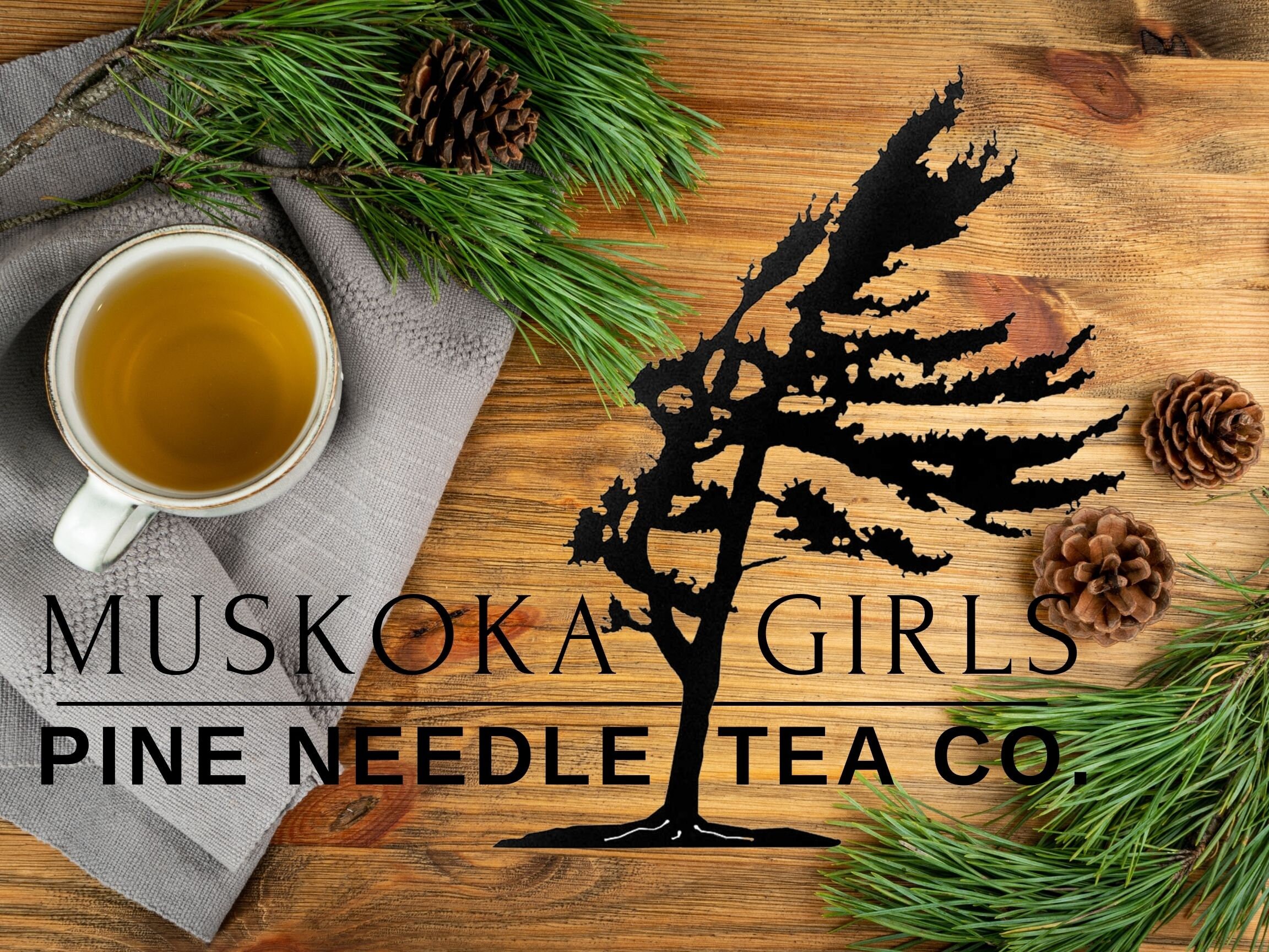 Wild Canadian Eastern White Pine Branch tips, Bulk Tea Needles BEST BUY ...