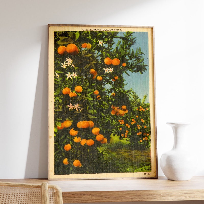 Florida Oranges - Etsy