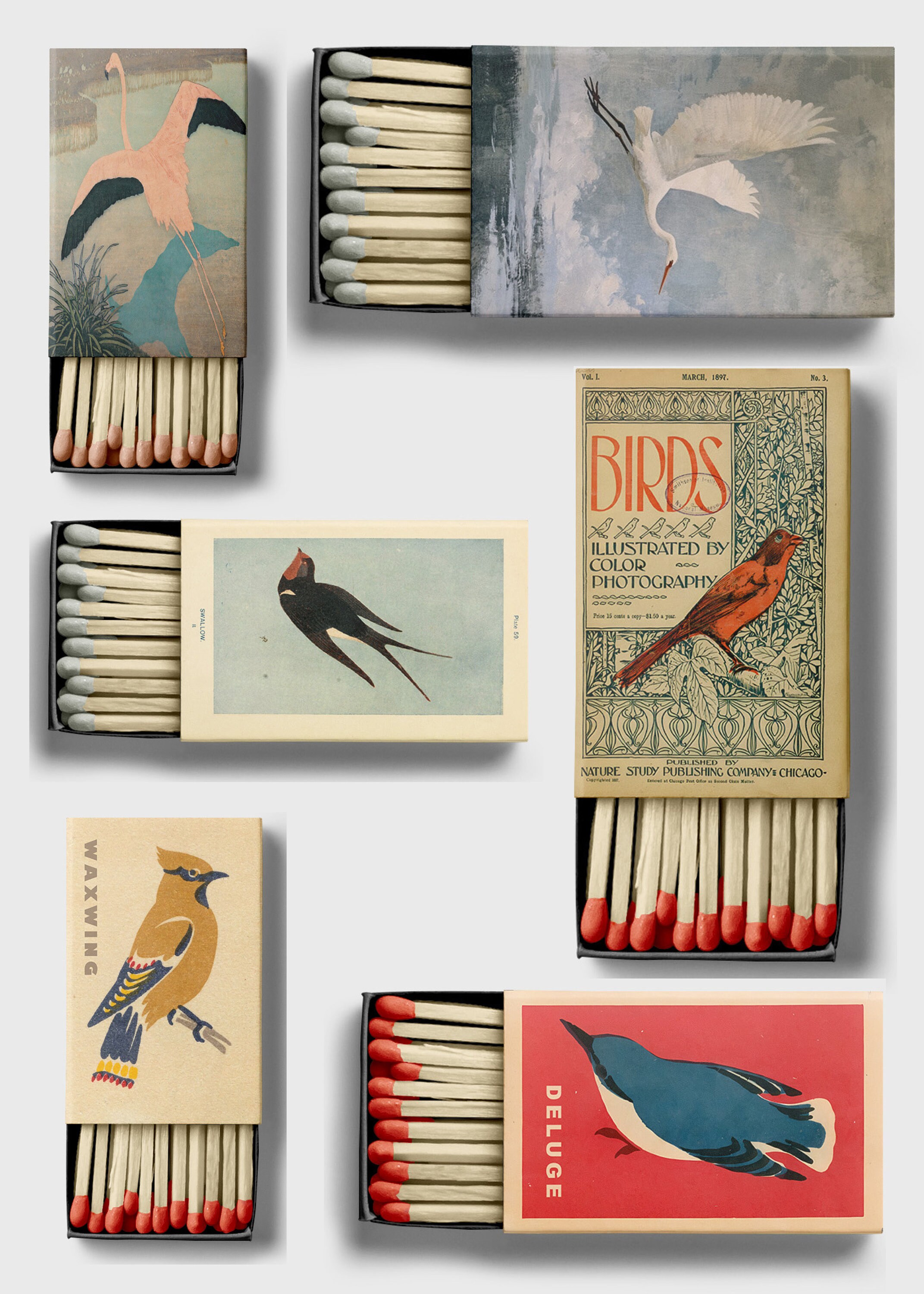 Vintage Bird Matchbox Art Print, Retro Wall Decor - Etsy