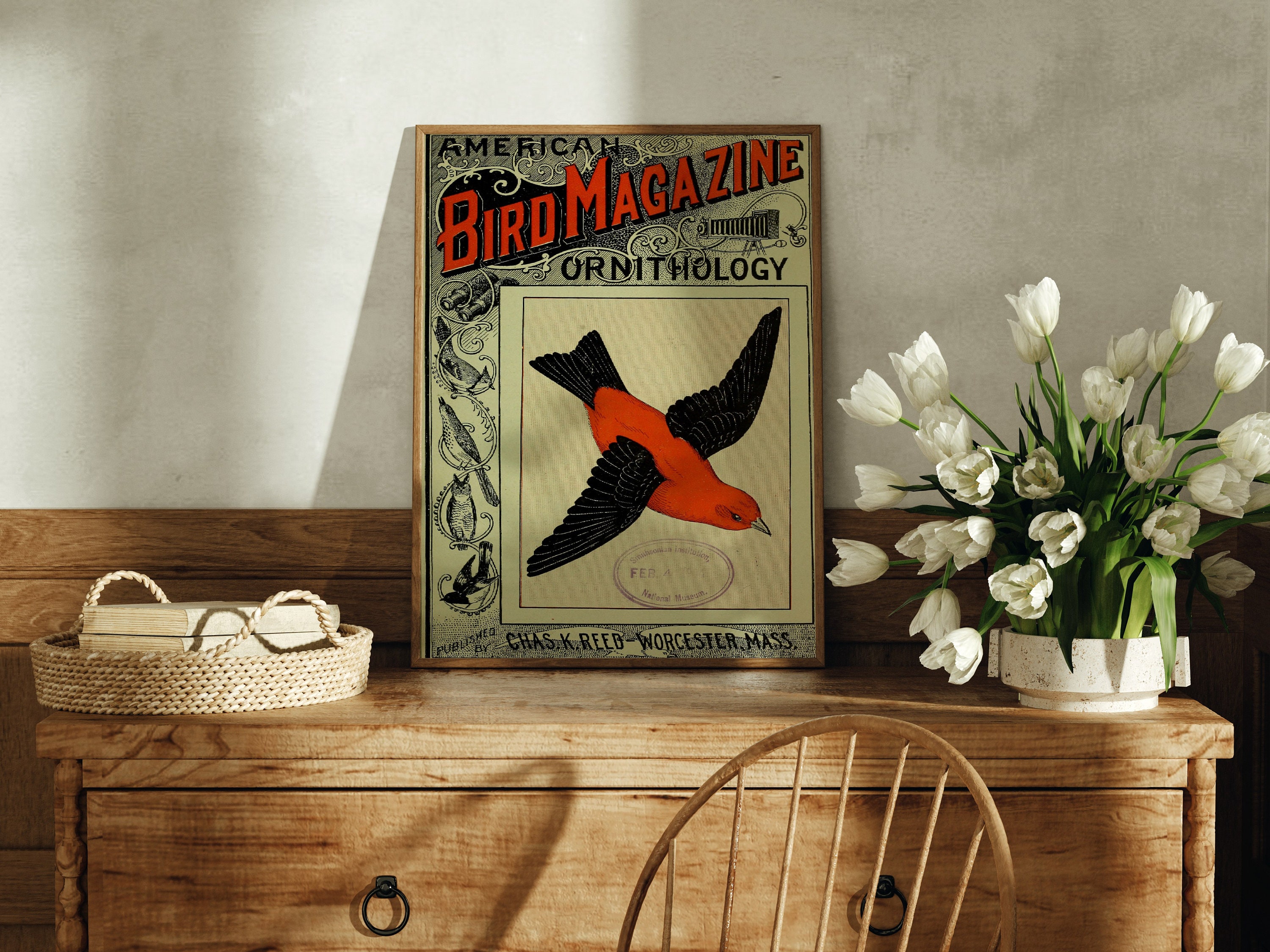 Vintage Birds Book Print, Birds Poster, Soft Color Swallow Wall Art ...