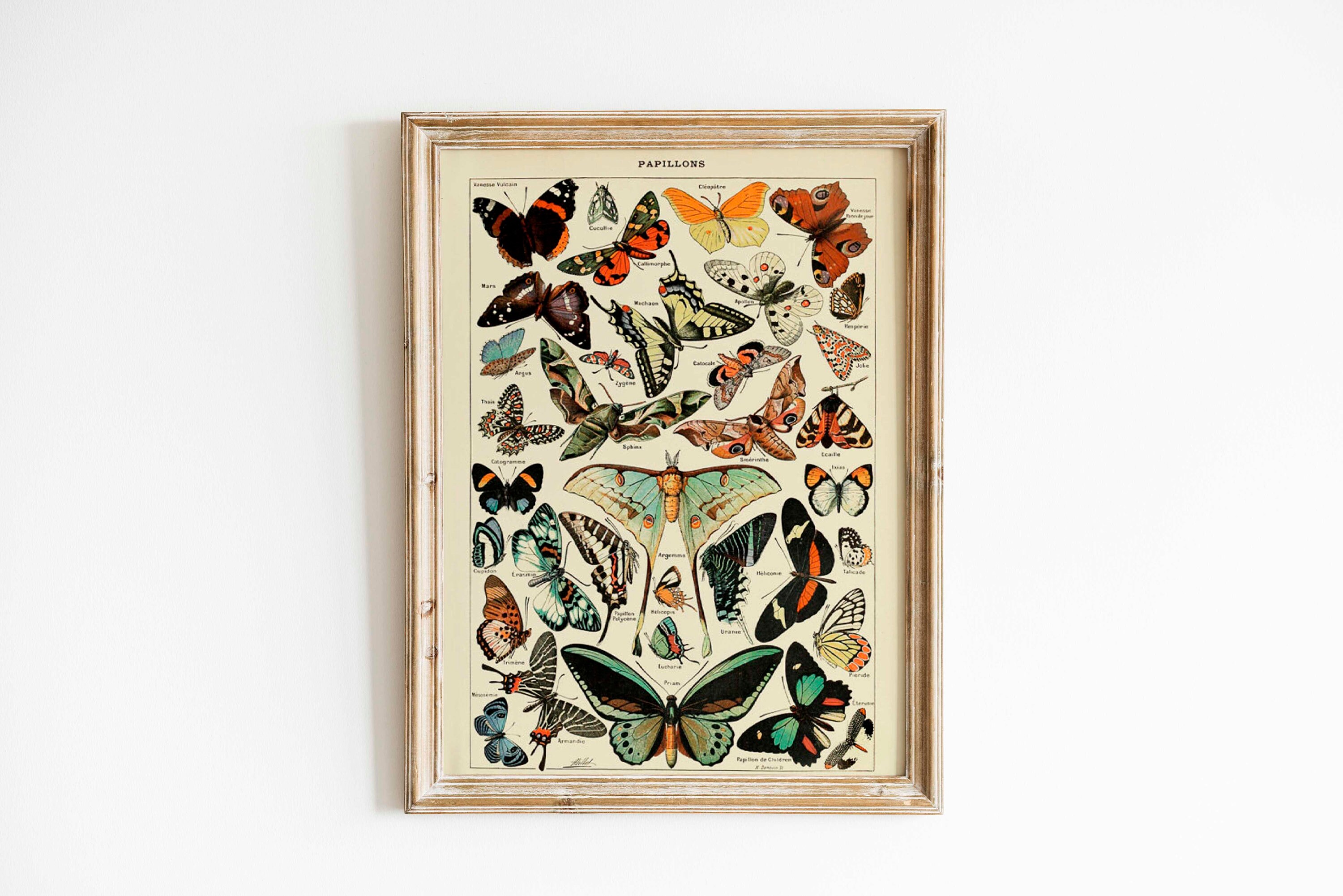 Vintage Butterflies Chart Poster, Art Deco, Vintage Print, Colorful ...