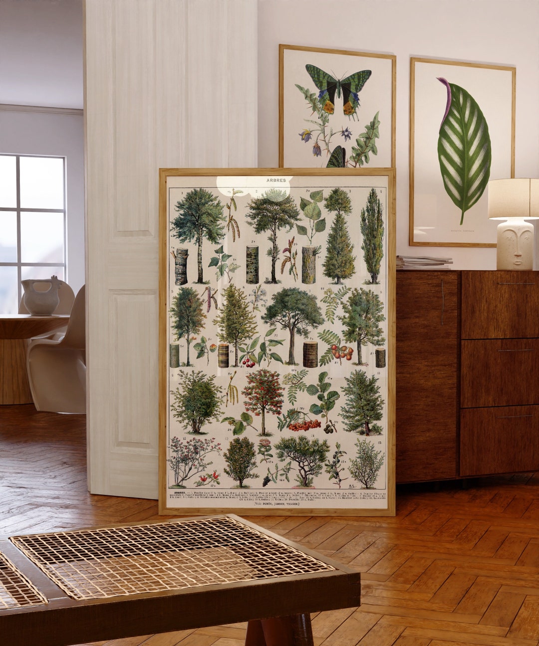 Different Trees Print, Botanical Poster, Vintage Forest Art, Tree Chart ...