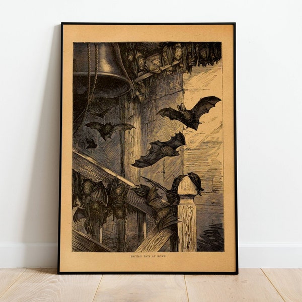 Bat Poster - Etsy
