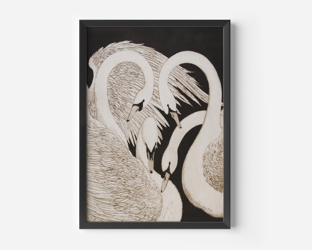 Vintage Black Swan Print, Swan Poster, Soft Color Swan Wall Art, Bird ...