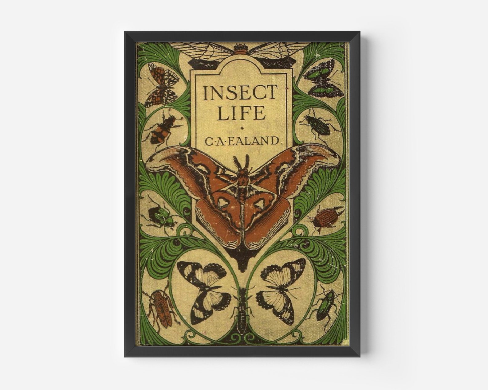 Insect Life Old Book Cover Print, Insect Life Poster, Vintage Insect ...
