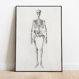Vintage Human Skeleton Print, Anatomy Wall Art, Medical Poster, Medical ...