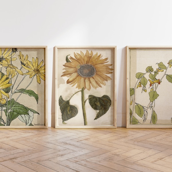 Sunflower Poster - Etsy