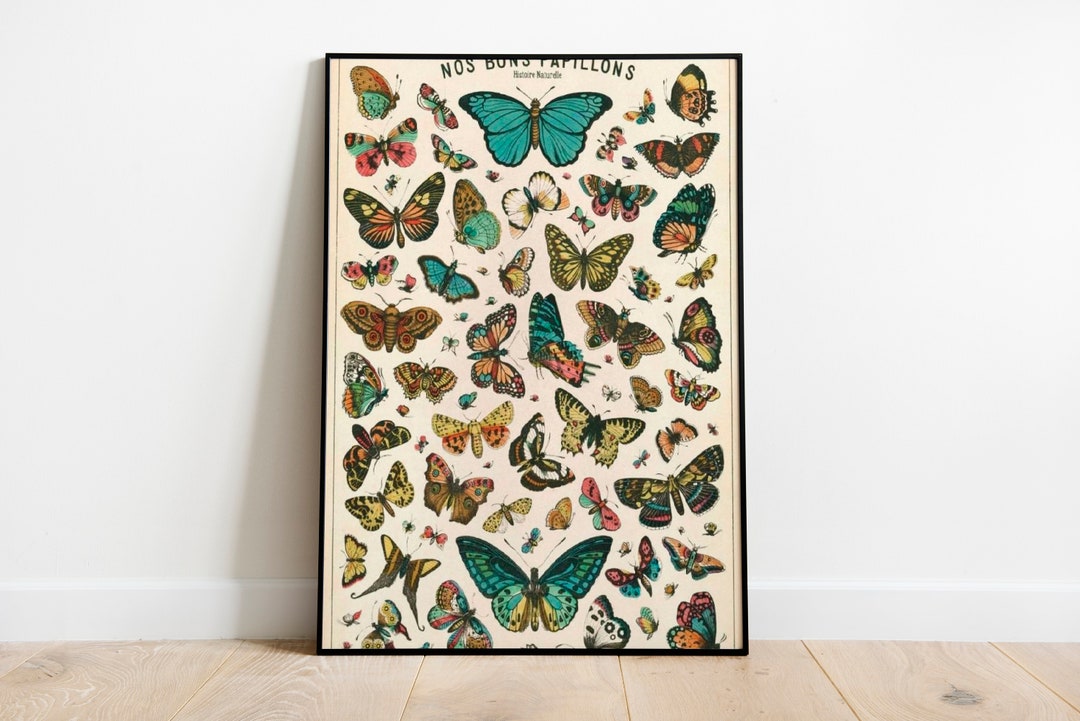 Cartel vintage de mariposas de historia natural, Art Déco, impresión ...