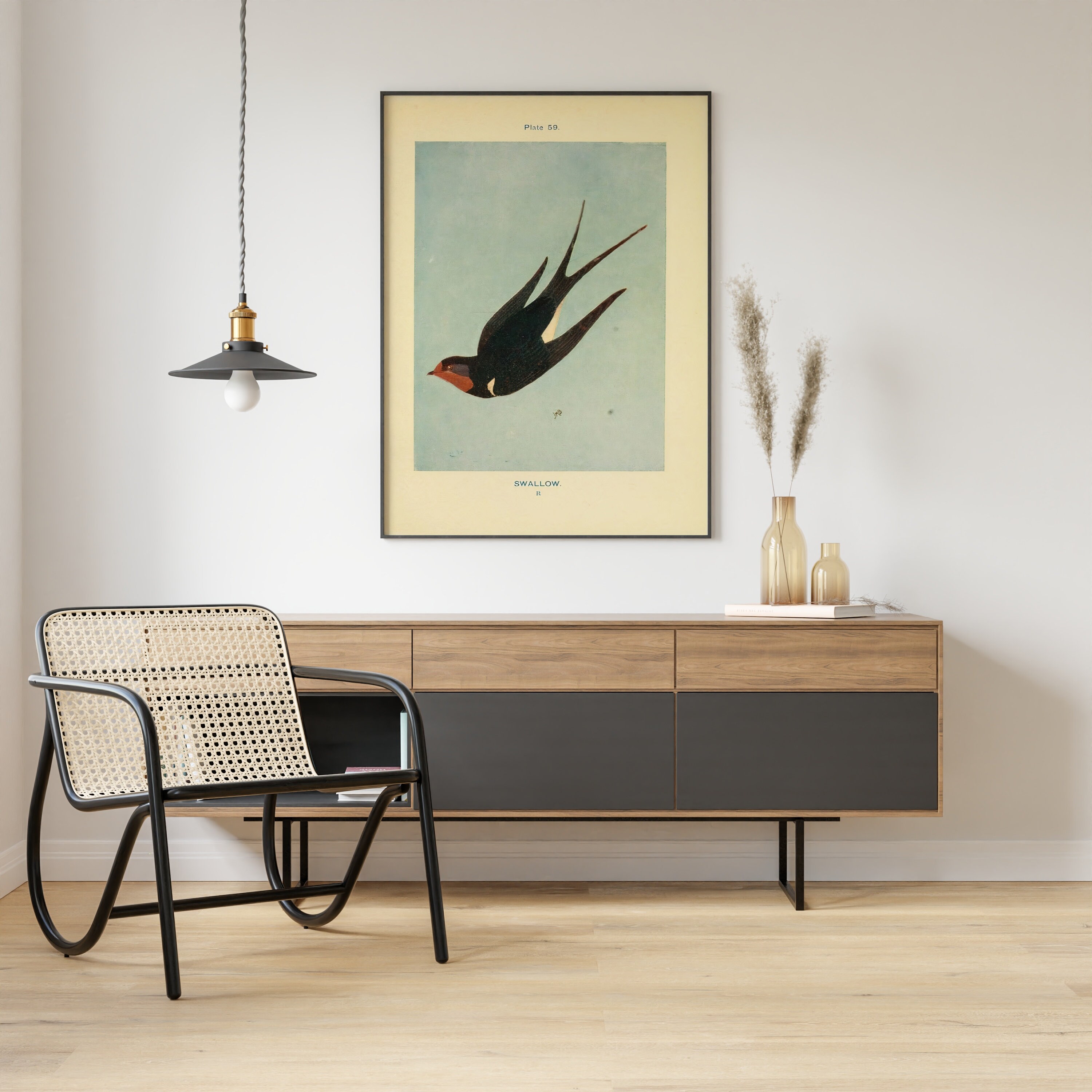 Vintage Swallow Bird Print – Ornithology Plate 59 Wall Art - Etsy
