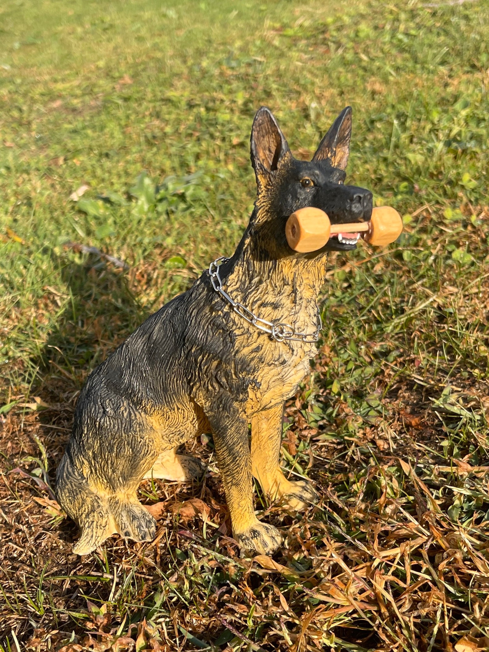 Custom Hand Painted German Shepherd or Malinois GSD IPO IGP - Etsy
