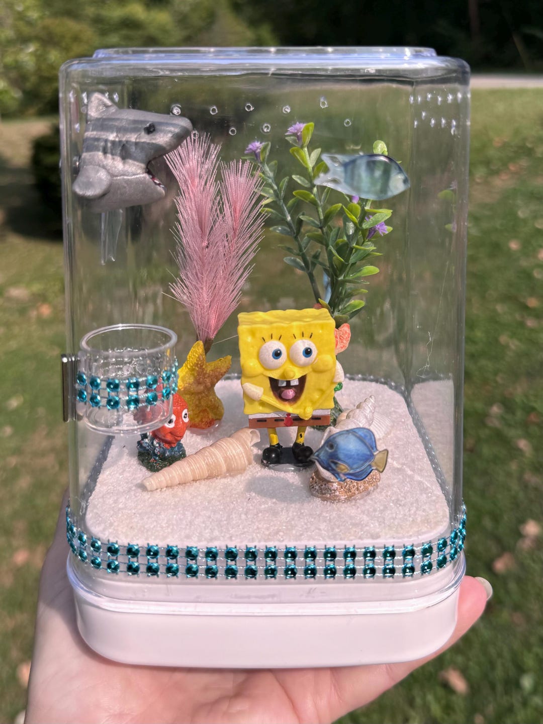 Jumping Spider Enclosure Spongebob Ocean Shark Theme - Etsy