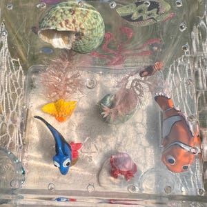 Jumping Spider Enclosure Ocean Beach Nemo Dory Theme - Etsy