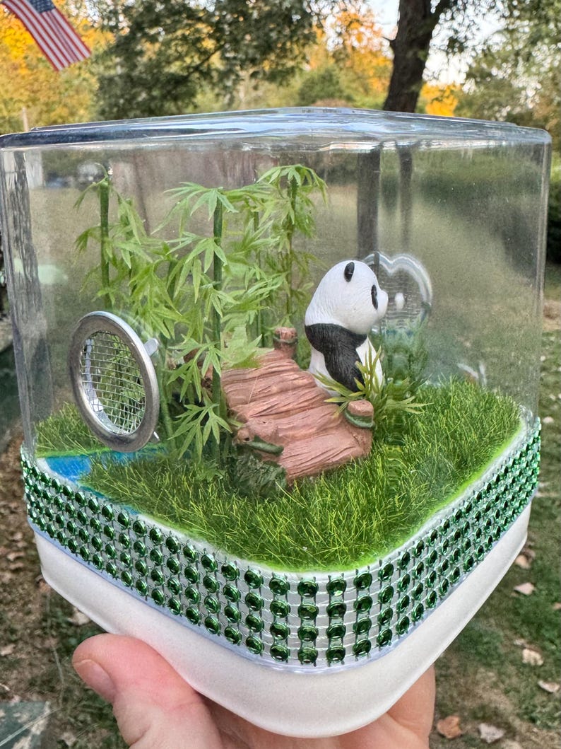 Jumping Spider Enclosure Cage Panda Bamboo and Dragon Theme - Etsy