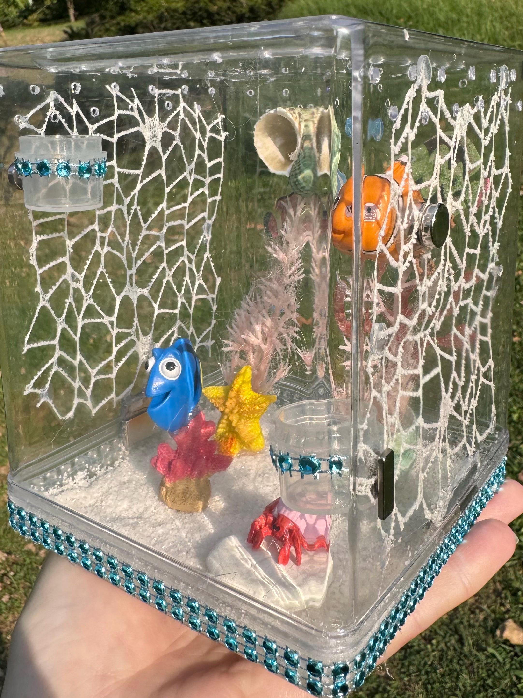 Jumping Spider Enclosure Ocean Beach Nemo Dory Theme - Etsy