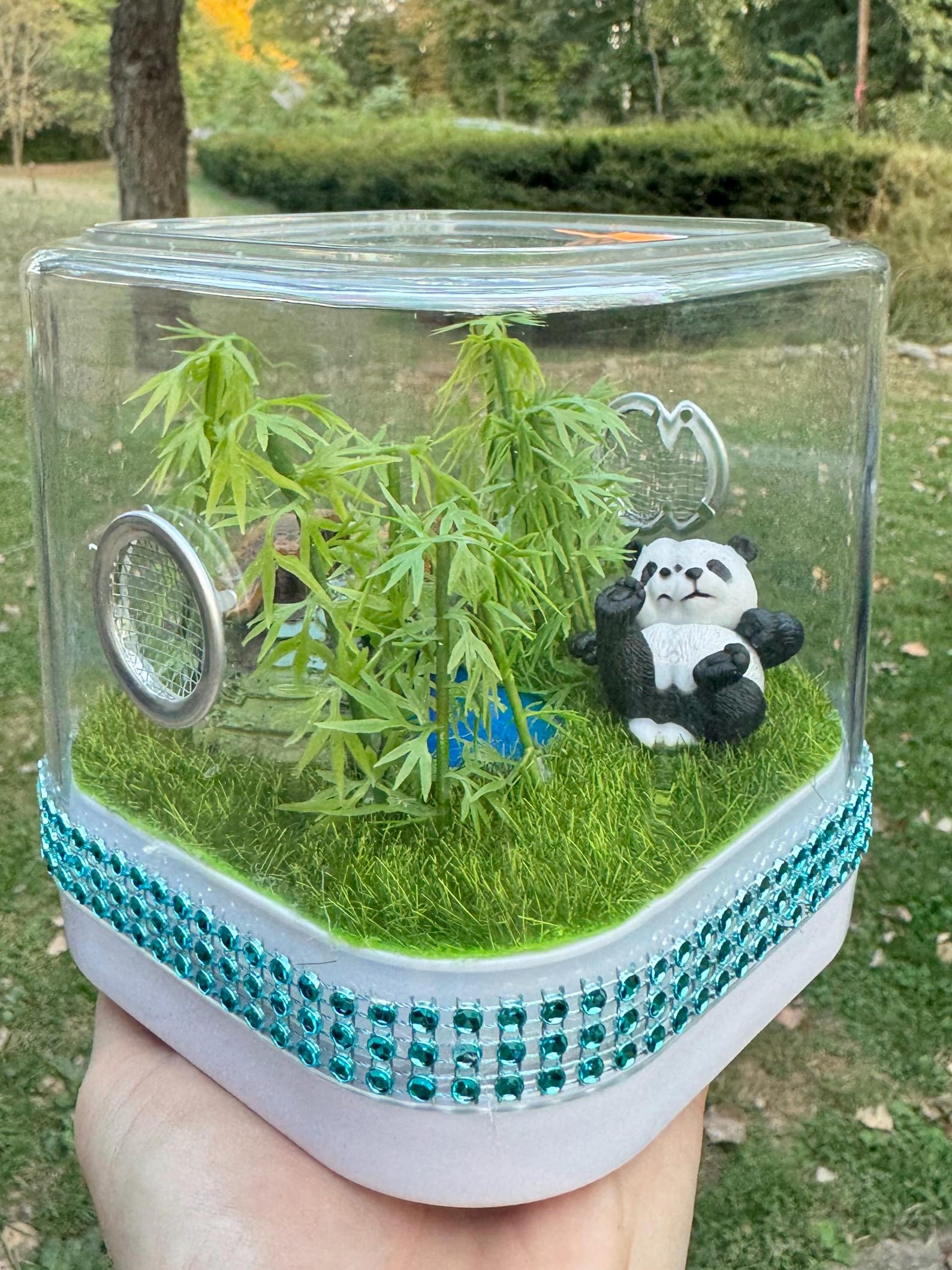 Jumping Spider Enclosure Cage Panda Bamboo Theme - Etsy