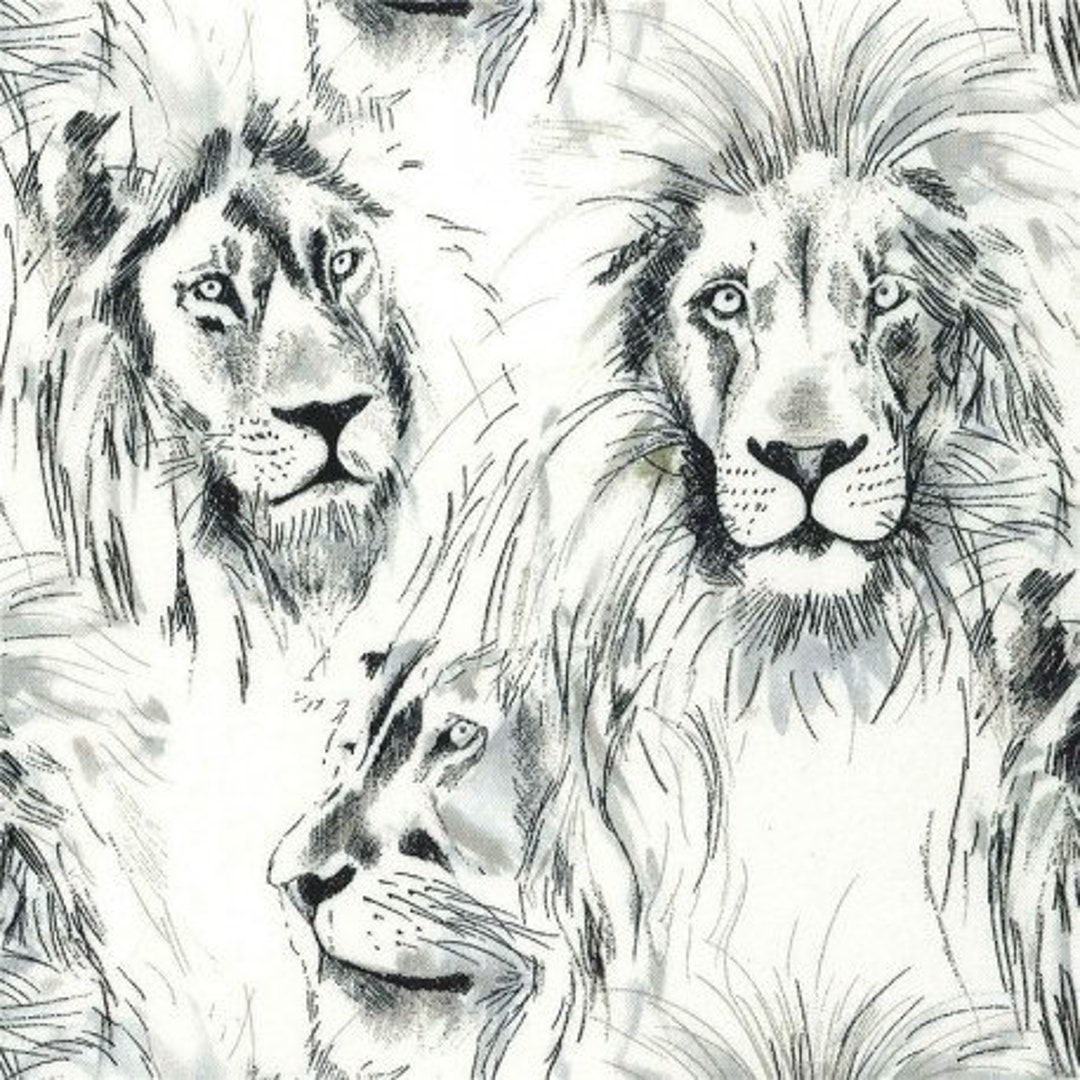 Roarrr Lion Fabric by Michael Miller Fabrics, Lions Face Sketch on ...