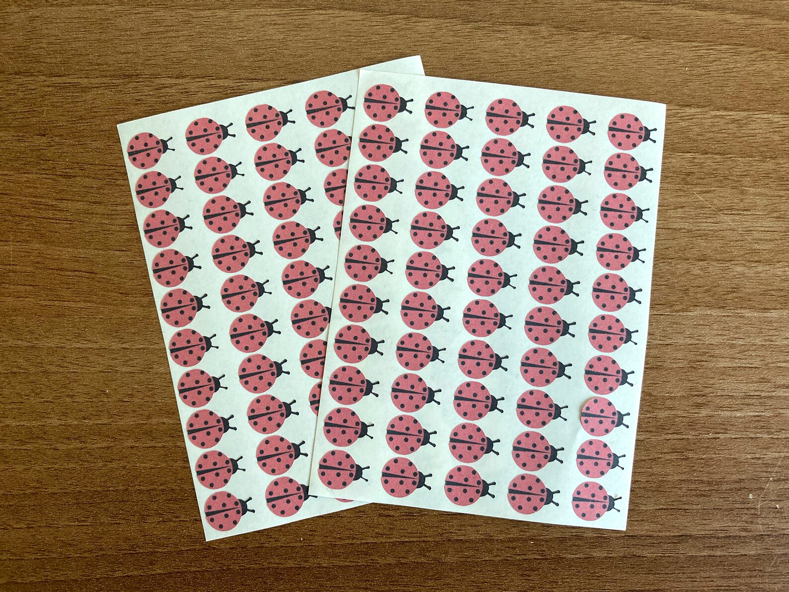 Cute Tiny Ladybird Stickers Ladybird Lover Gift Laptop & | Etsy