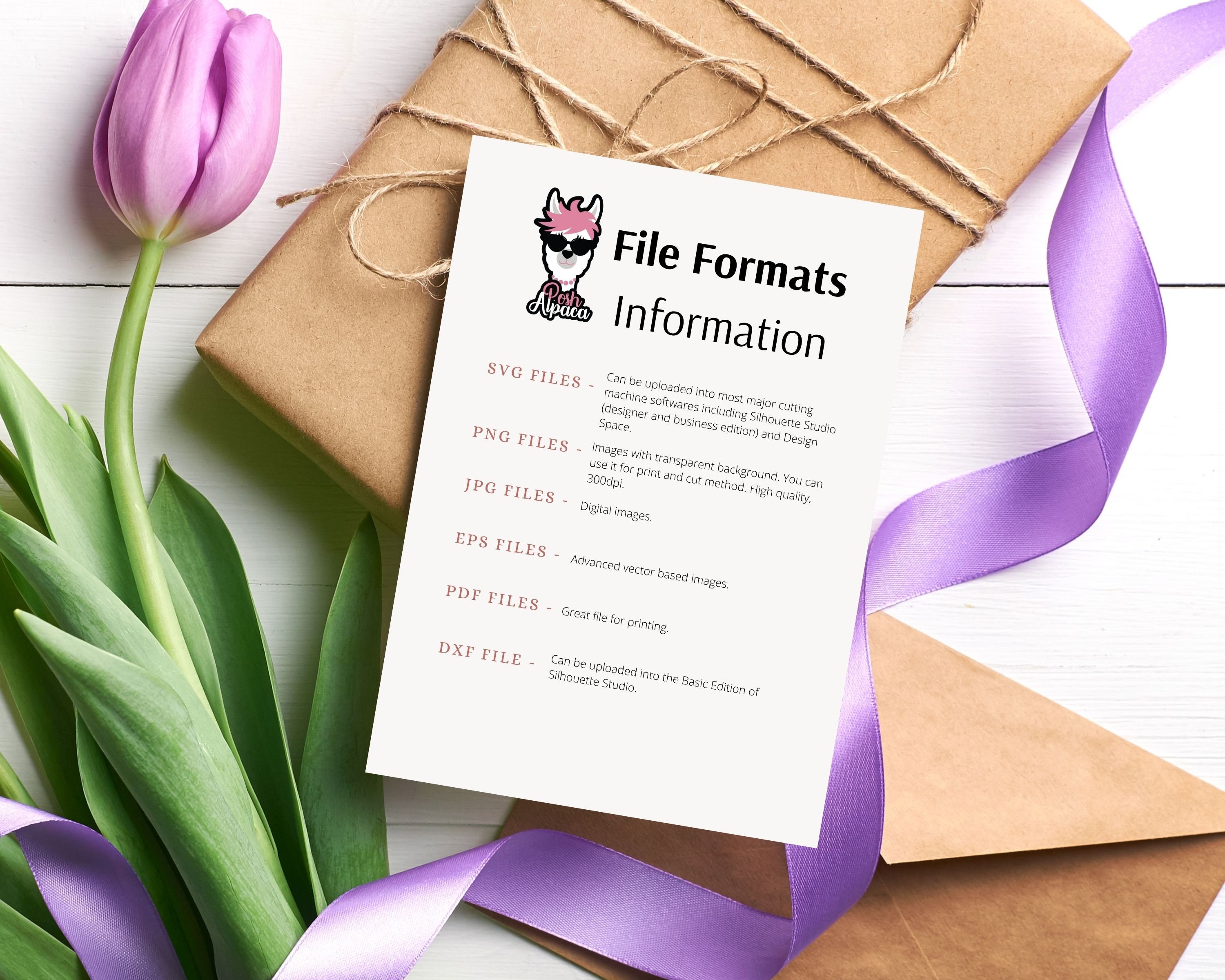 Birthday Card Svg Bundle Funny Birthday Card Svg Files for | Etsy