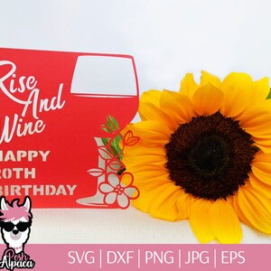 Birthday Card Svg Bundle Funny Birthday Card Svg Files for - Etsy