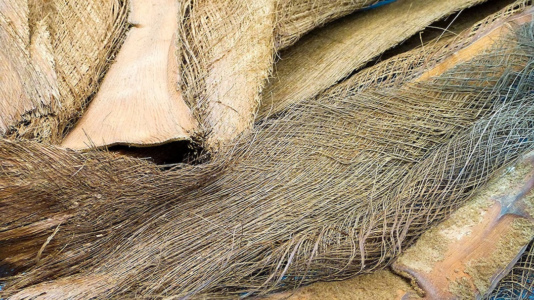 Dried Palm Tree Fibres 160 Gram Pack approximately 5 Wraps Varied Sizes ...
