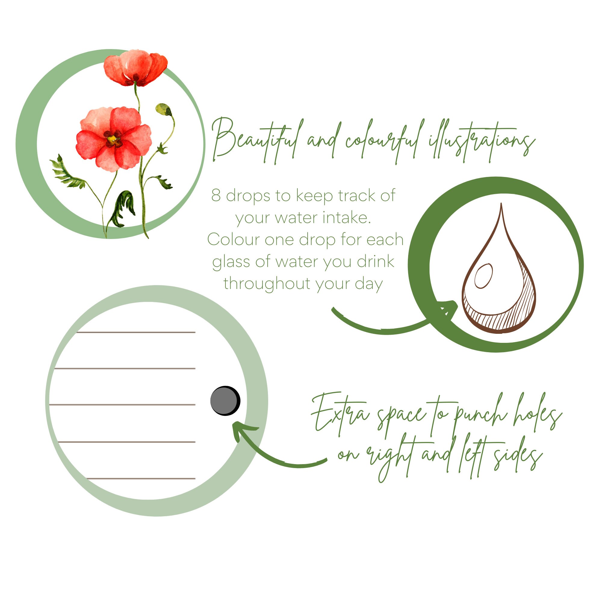Daily Printable Undated Planner Template Page Illustrated With Poppy ...