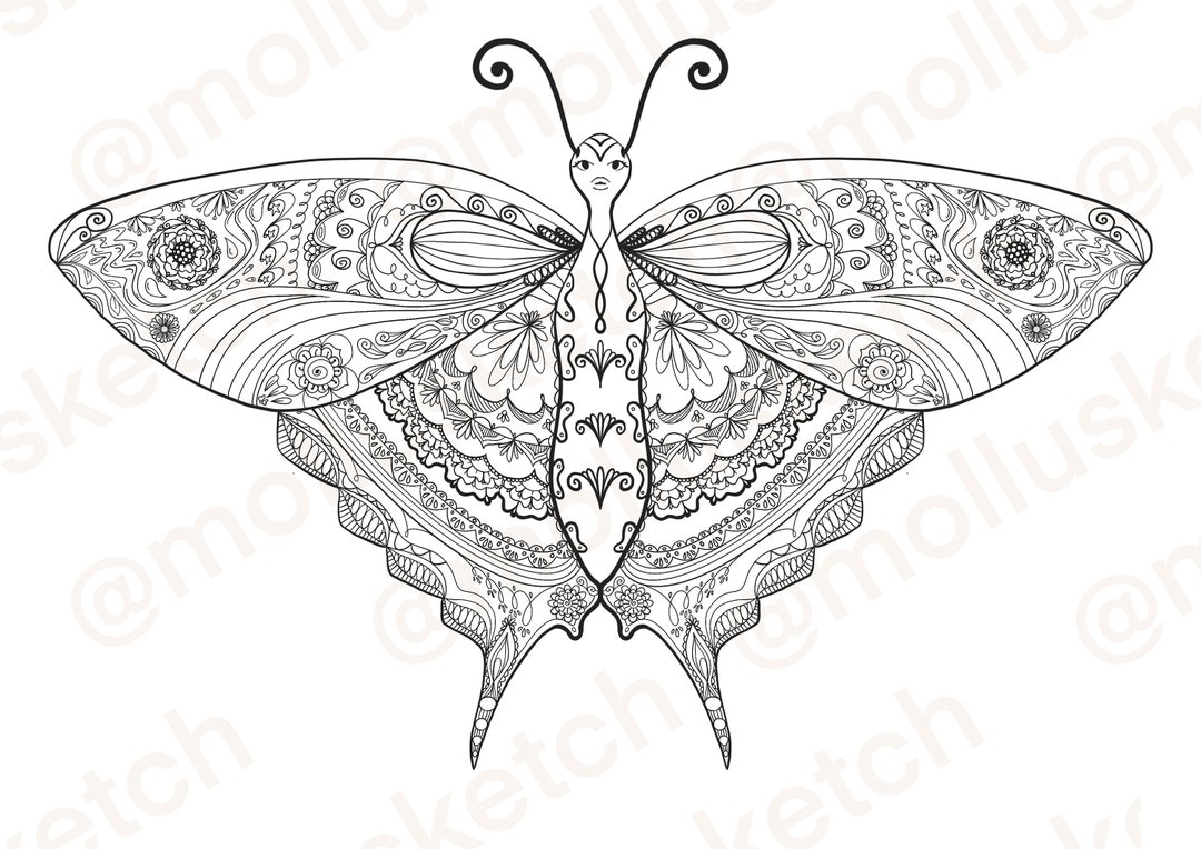 Stunning Printable Adult Mindfulness Butterfly Colouring Page - Etsy