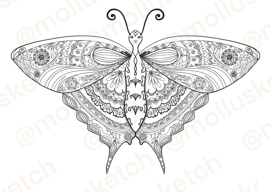 Stunning Printable Adult Mindfulness Butterfly Colouring Page - Etsy