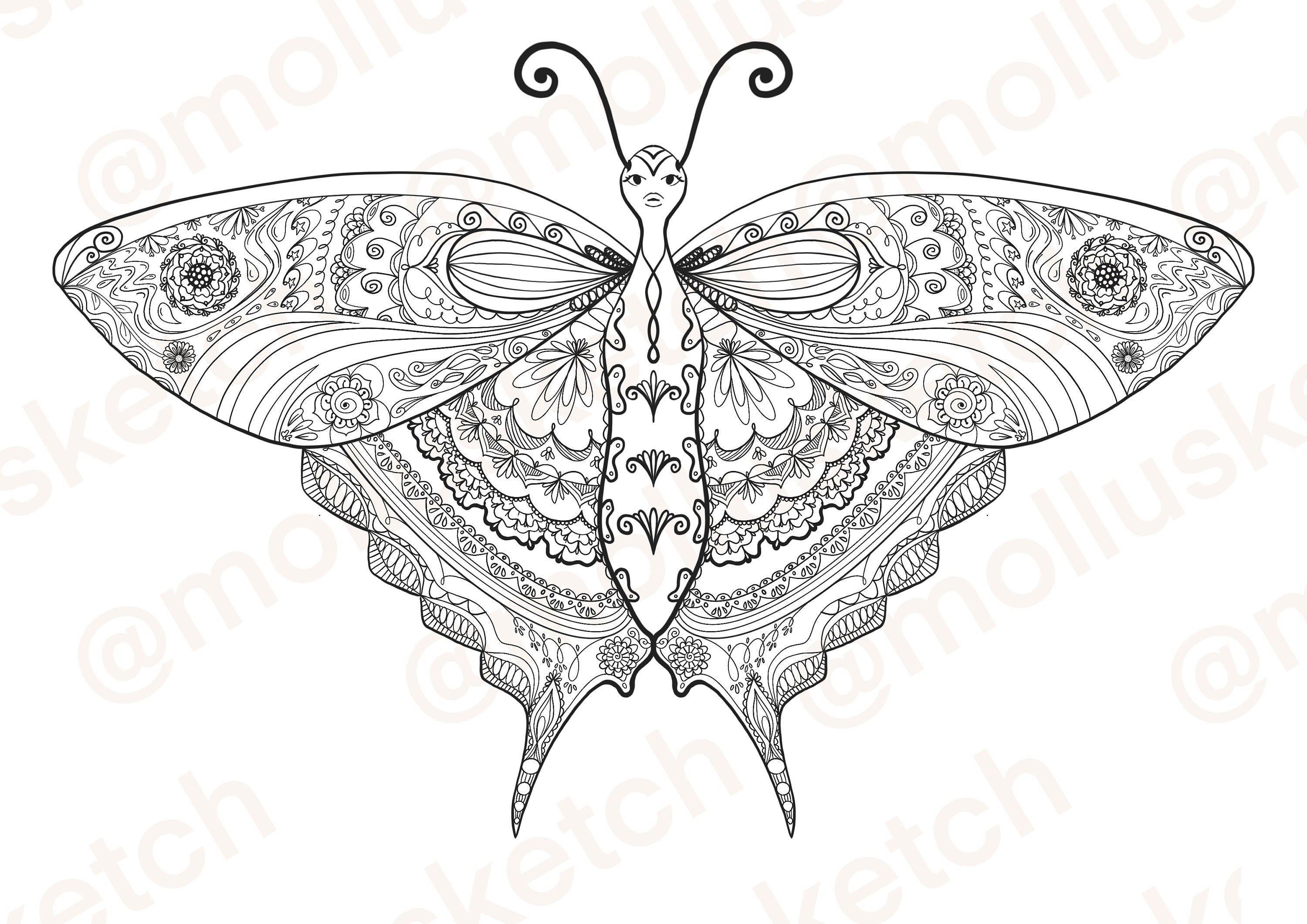 Stunning Printable Adult Mindfulness Butterfly Colouring Page Detailed ...