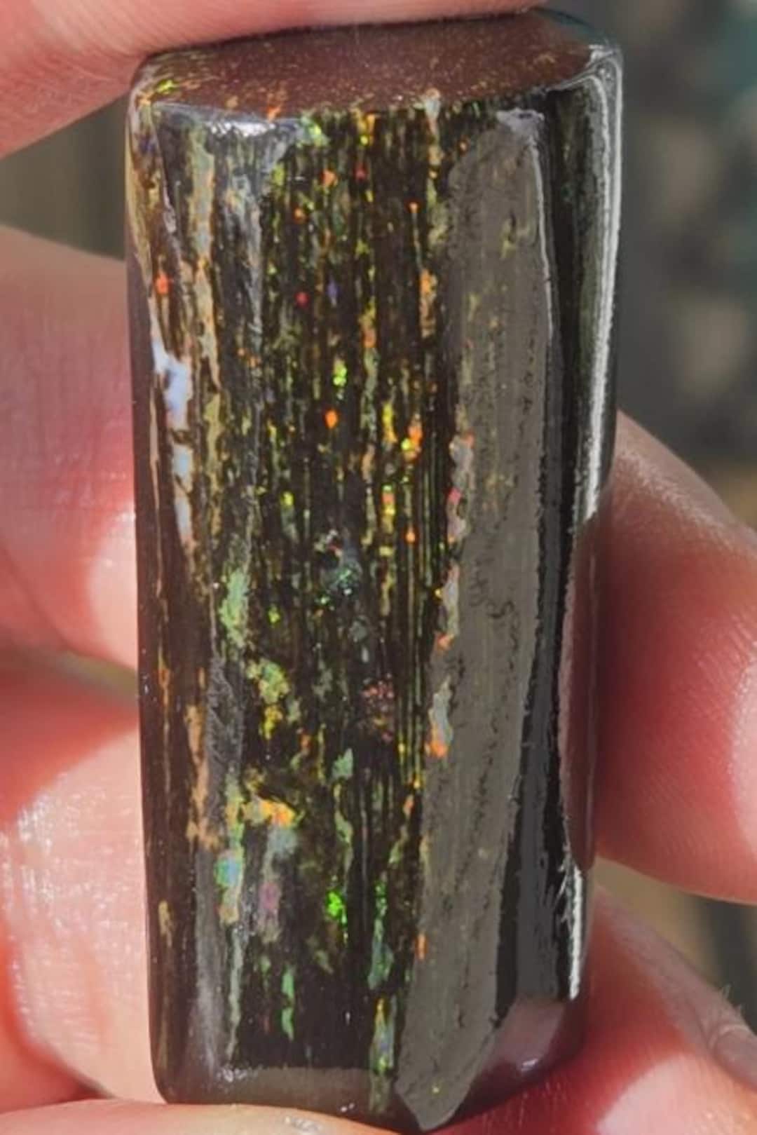 Black Petrified Wood With Rainbow Iridescent Opal From Indonesia - Etsy