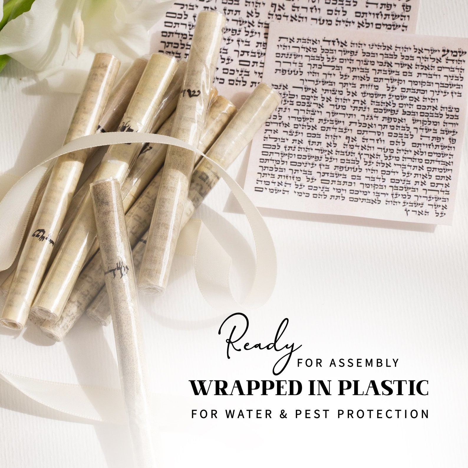 Mezuzah Kosher Scroll Made in Israel, Torah Scroll Hand-written by a ...