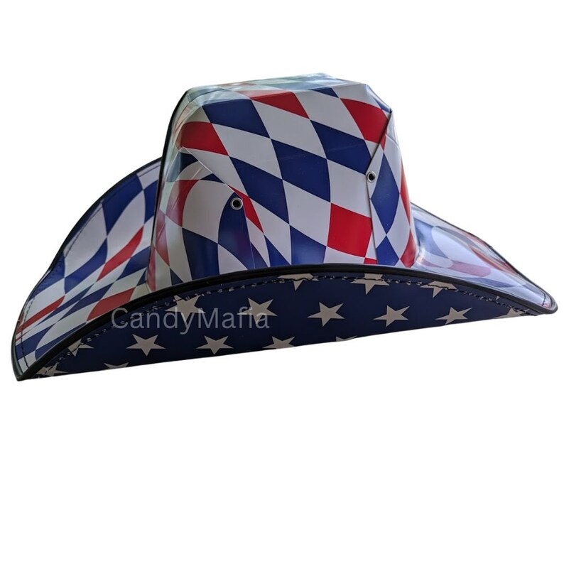 Beer Box Cowboy Hat Cowgirl Hat Shipped From Nashville! Red White and ...