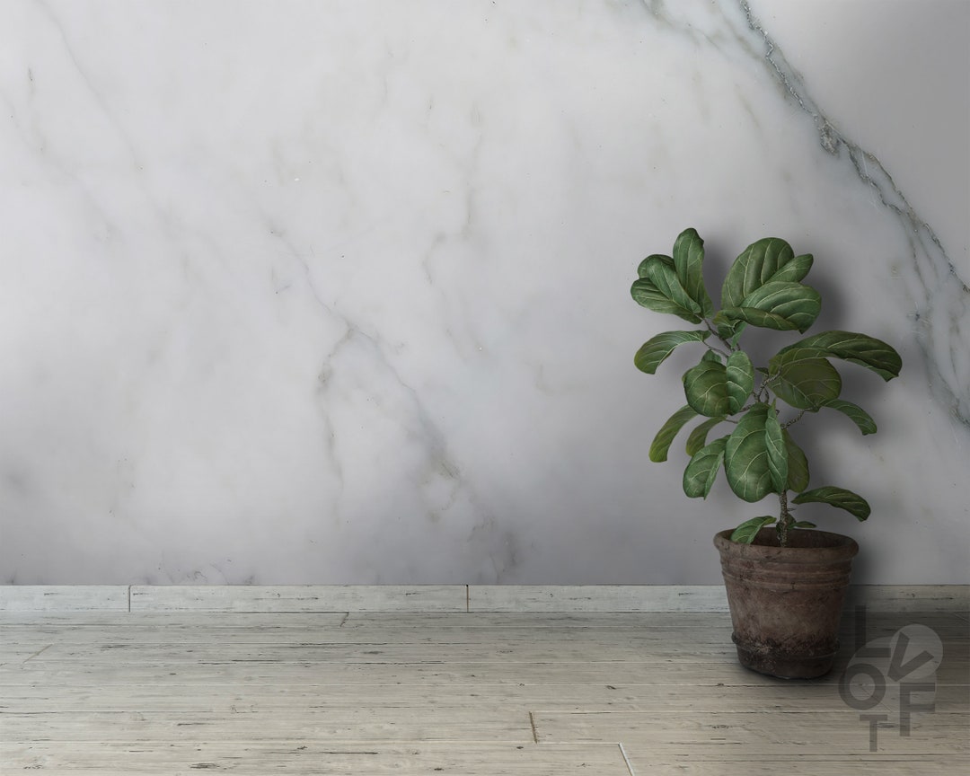 White Classy Bare Marble Glamour Art Abstract, Removable Raw Wallpaper ...