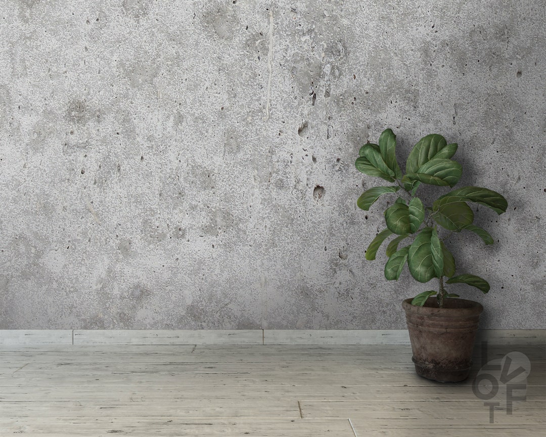 Bright Bare Concrete Background Calm Cold, Removable Raw Wallpaper ...