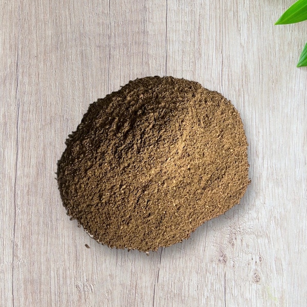 Rose of Jericho - Etsy