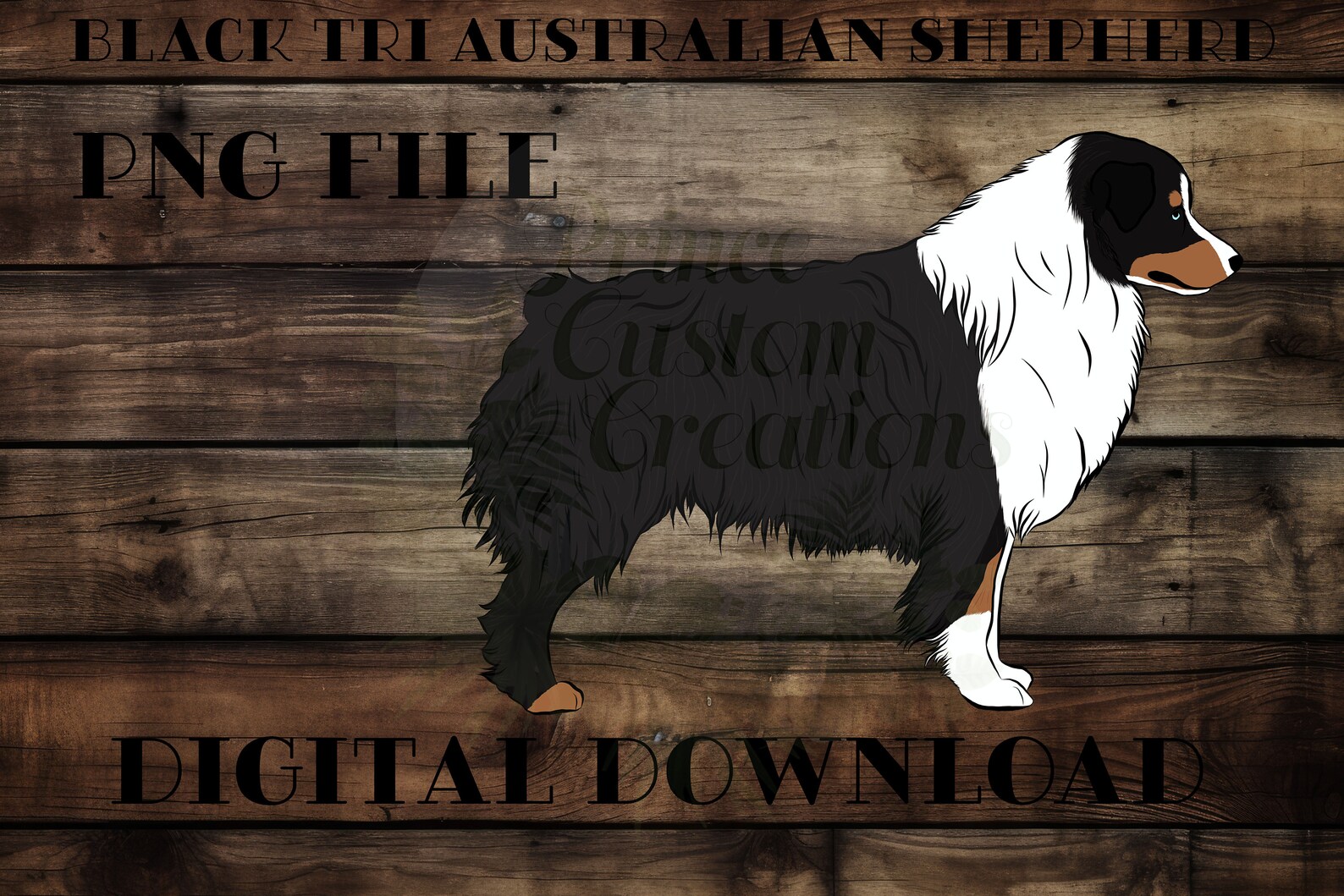 Australian Shepherd Stack Png for Printing Png for Australian Shepherd ...