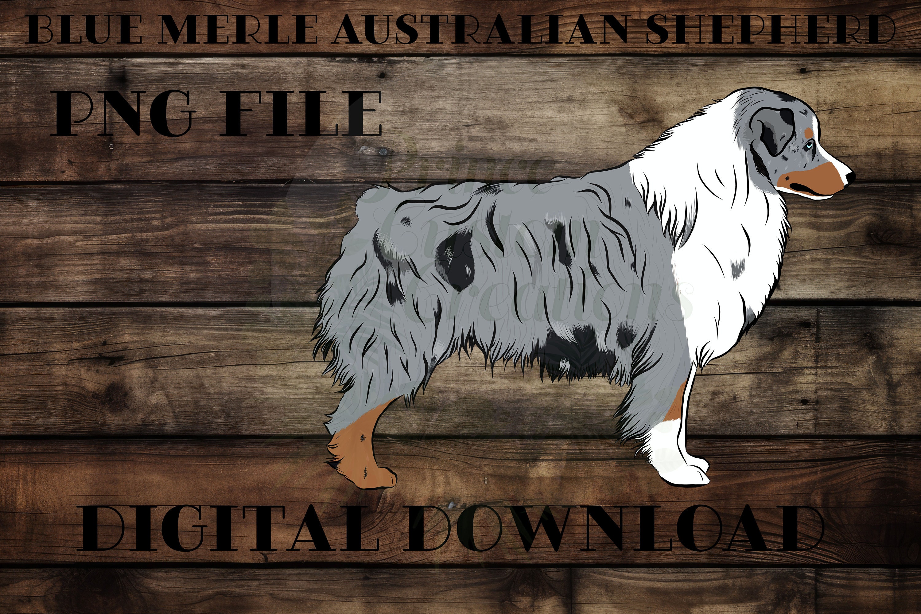 Australian Shepherd Stack Png for Printing Png for Australian Shepherd ...